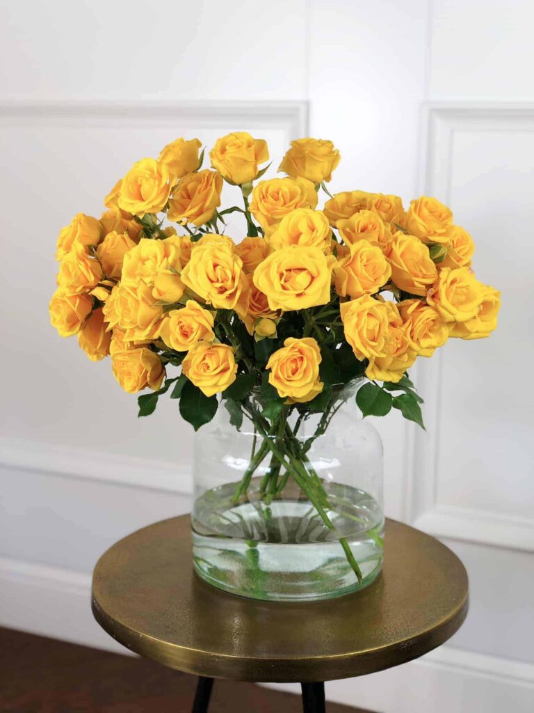 Kobarroos - Kaunid lilled Studio Nelk lillepoest