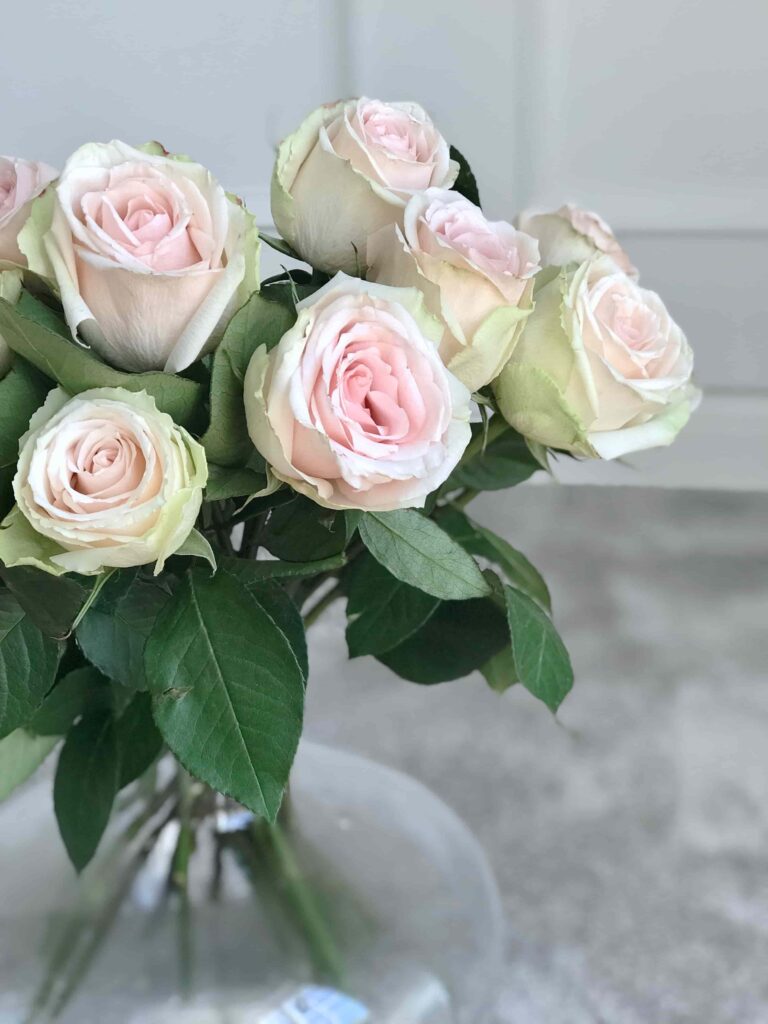 Roosad roosid - Studio Nelk - Saada erilised lilled, erilisele inimesele!